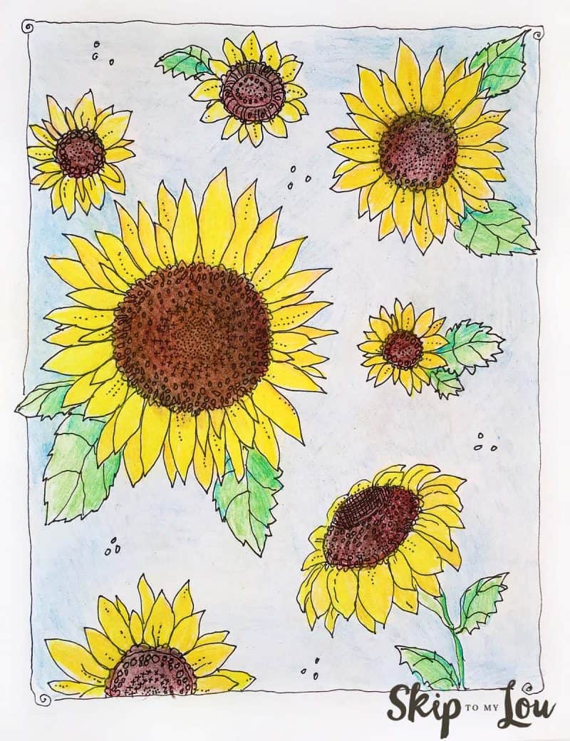 Sunflower Coloring Page | Skip To My Lou