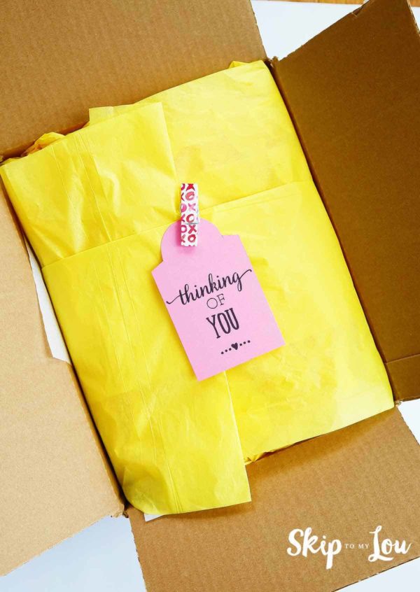 The BEST Care Package Ideas {FREE Printables} | Skip To My Lou