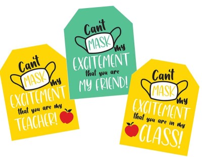Face Mask Gift Tags | Skip To My Lou