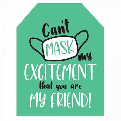 Face Mask Gift Tags | Skip To My Lou
