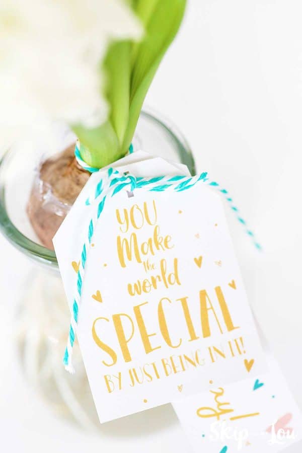 Printable Tags for Special Friends | Skip To My Lou