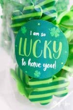 St Patrick's Day DIY Gift | Skip To My Lou