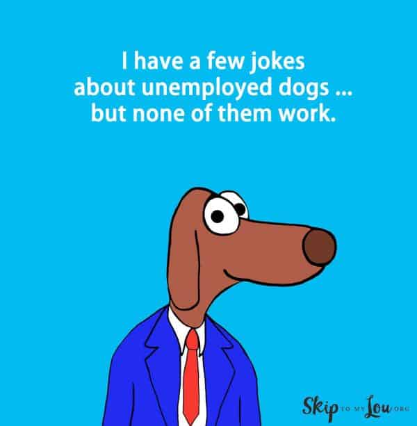 100+ Hilarious Dog Jokes to Tickle Your Funny Bone | Skip To My Lou