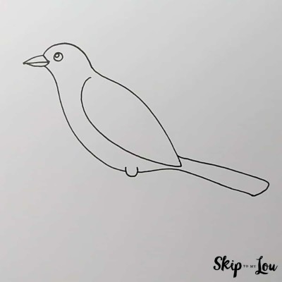 How to Draw a Bird | Skip To My Lou