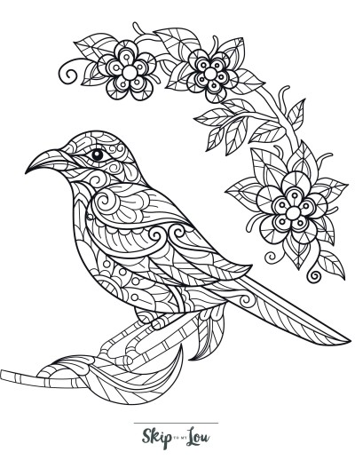 Free Printable Bird Coloring Pages | Skip To My Lou