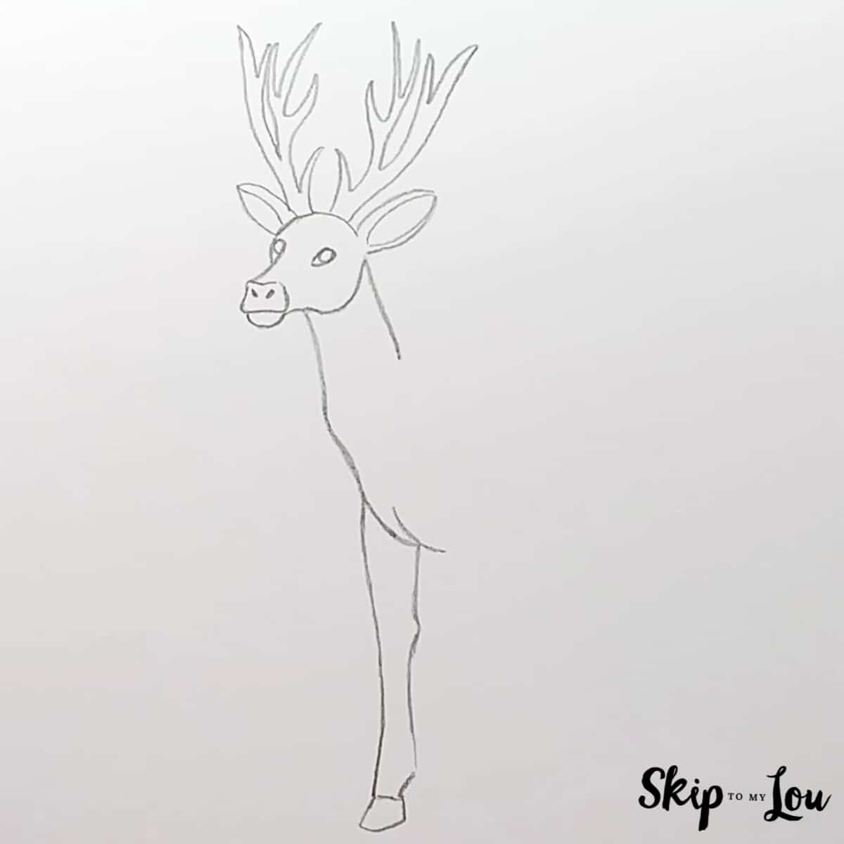 Easy How to Draw a Deer Guide | Skip To My Lou