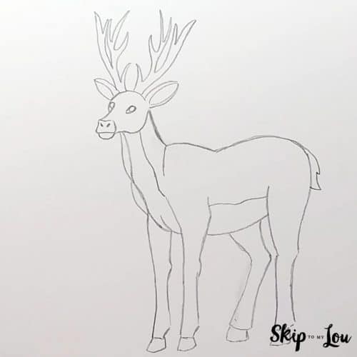 Easy How to Draw a Deer Guide | Skip To My Lou