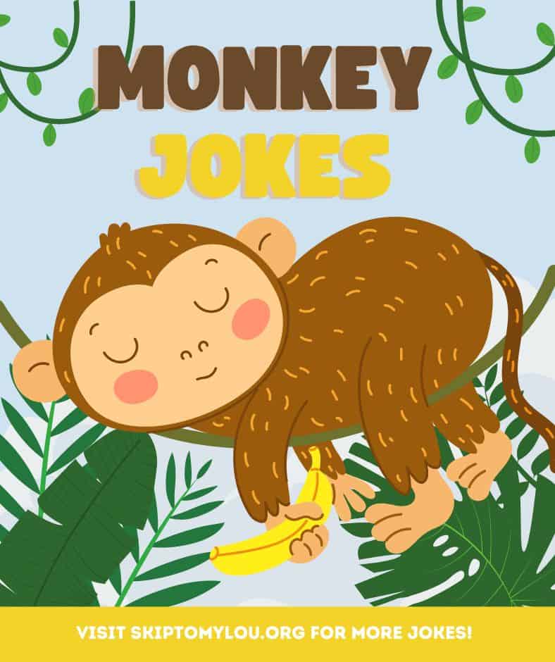 Monkey Jokes | Skip To My Lou