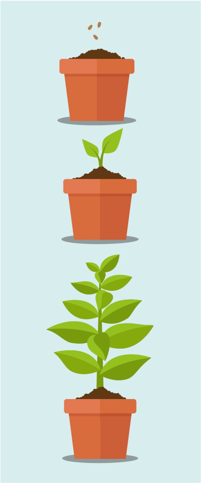 Sprout Bookmark: Create Your Own Mini Green Set | Skip To My Lou
