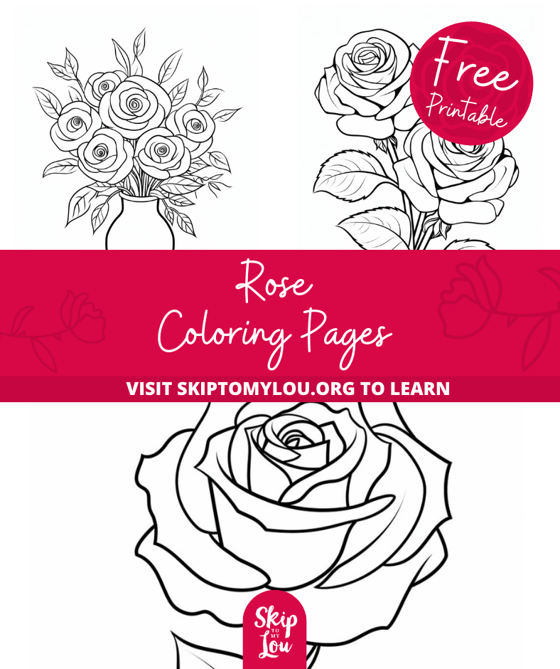 Free Rose Coloring Pages for Kids and Adults to Enjoy! | Skip To My Lou
