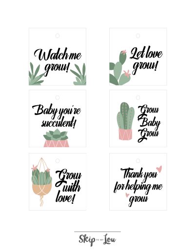 Succulent Favor Tags | Skip To My Lou