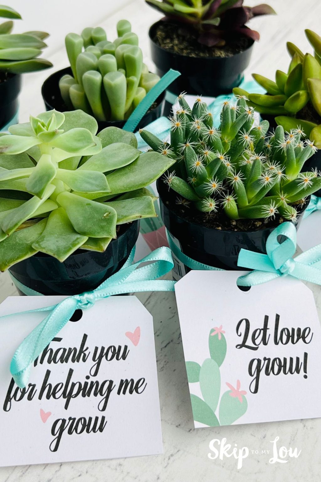 Succulent Favor Tags | Skip To My Lou
