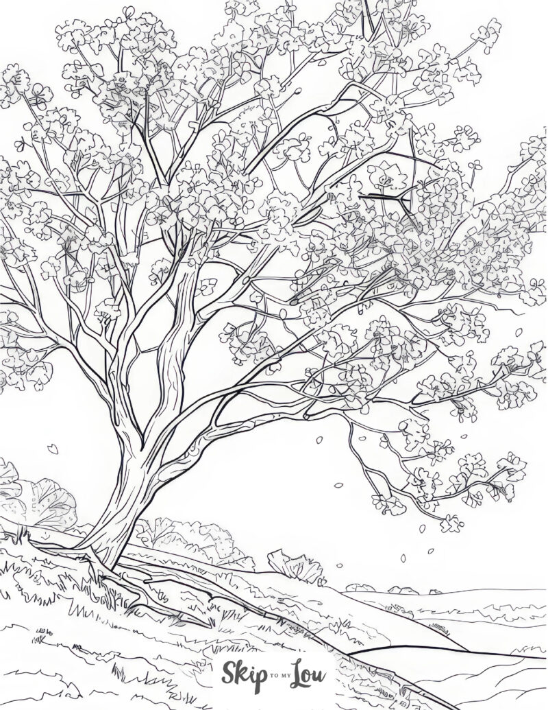 23 Towering Tree Coloring Pages: Free Printables | Skip To My Lou