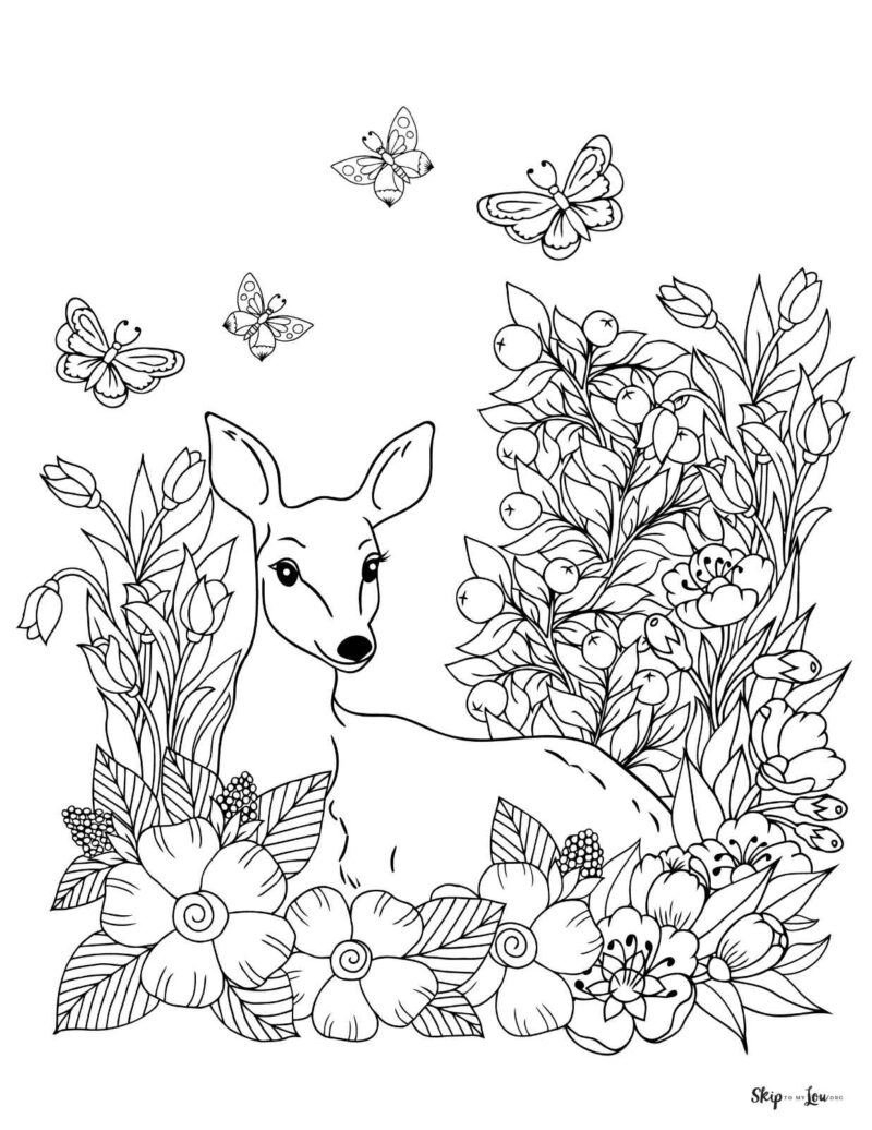 Deer Coloring Pages Free Printables for Kids and Adults | Skip To My Lou
