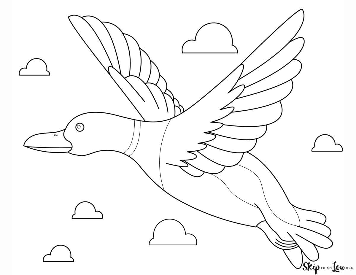 Free Duck Coloring Pages Printable Duck Coloring Pictures Worksheets