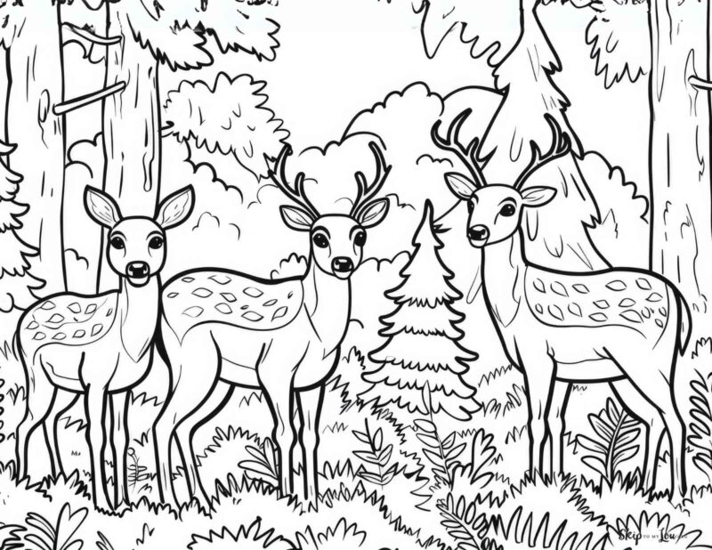 Deer Coloring Pages Free Printables for Kids and Adults | Skip To My Lou
