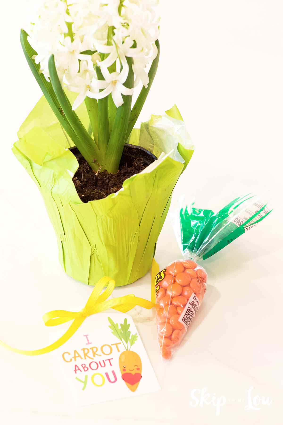 Easy Spring Gift – “I Carrot About You” Planter with Chocolate Surprise!
