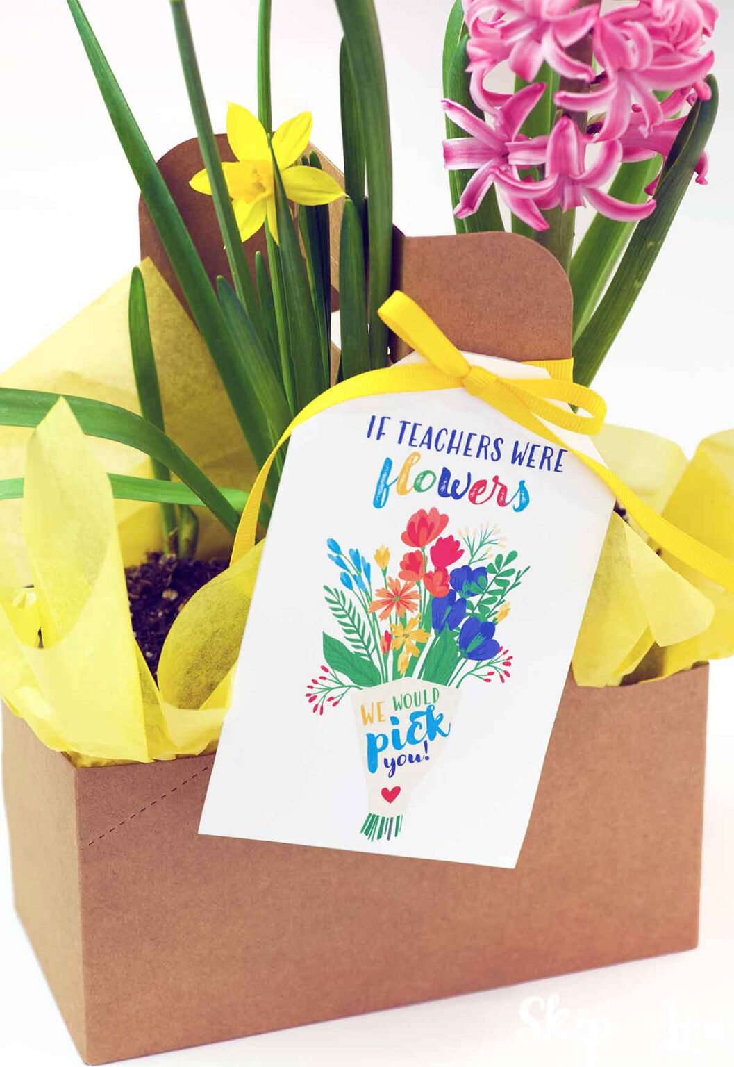 If Teachers Were Flowers, We'd Pick You! Free Printable Gift Tag for ...