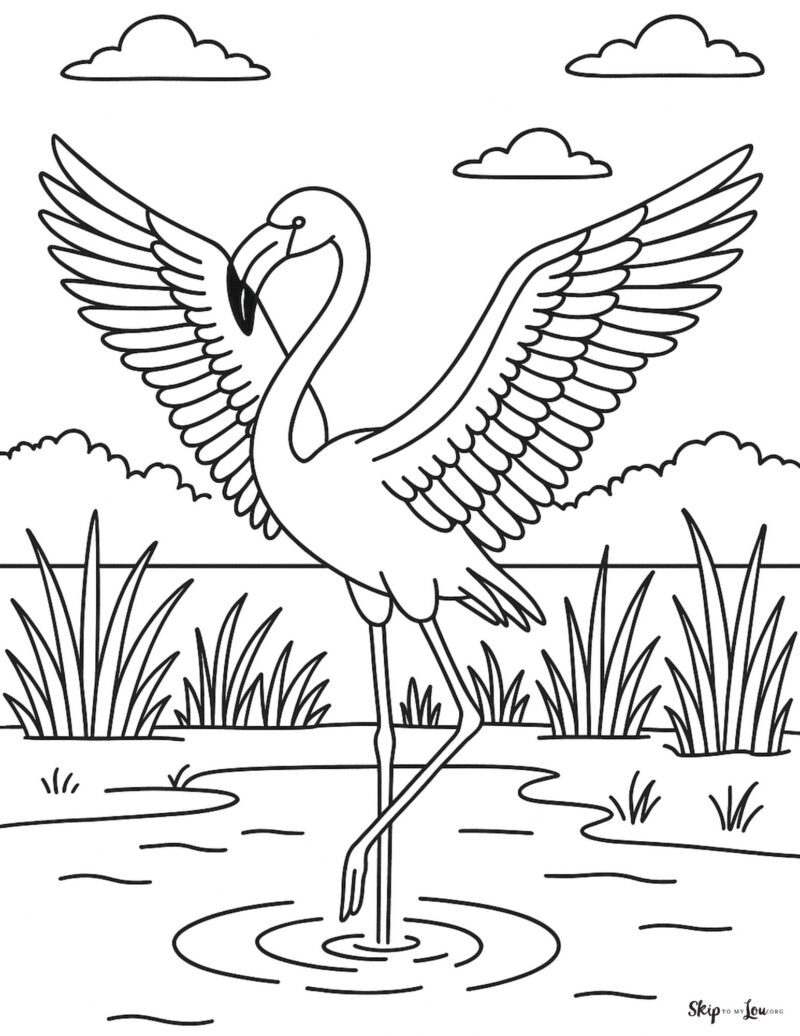 Flamingo Coloring Pages | Skip To My Lou