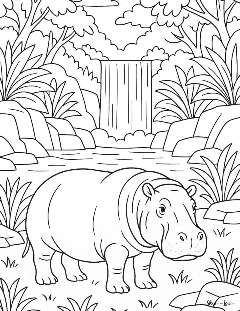 Animal Coloring Pages (Free PDF Printables)
